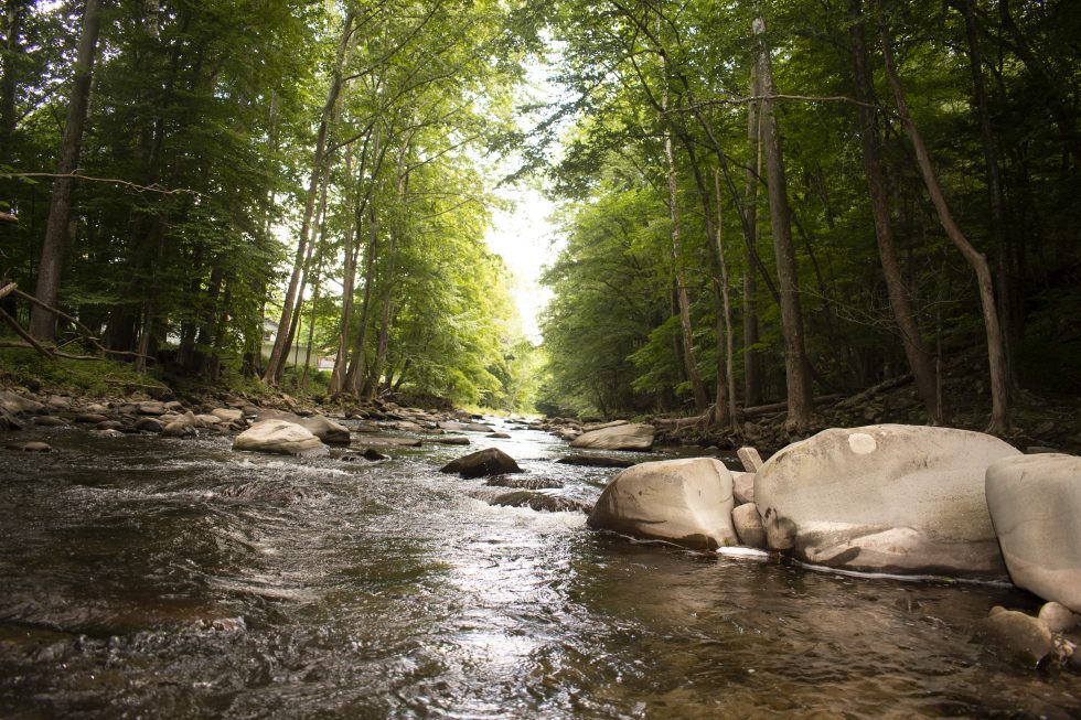Town of Delaware New York | Official Town of Delaware Website